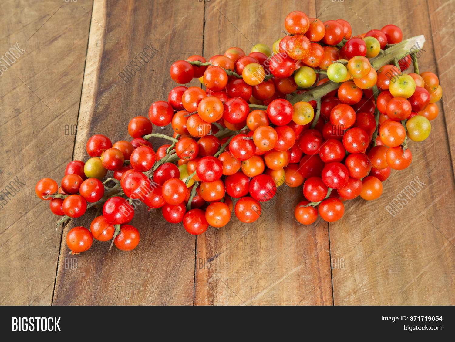 Corozo Tropical Fruit Image & Photo (Free Trial) | Bigstock