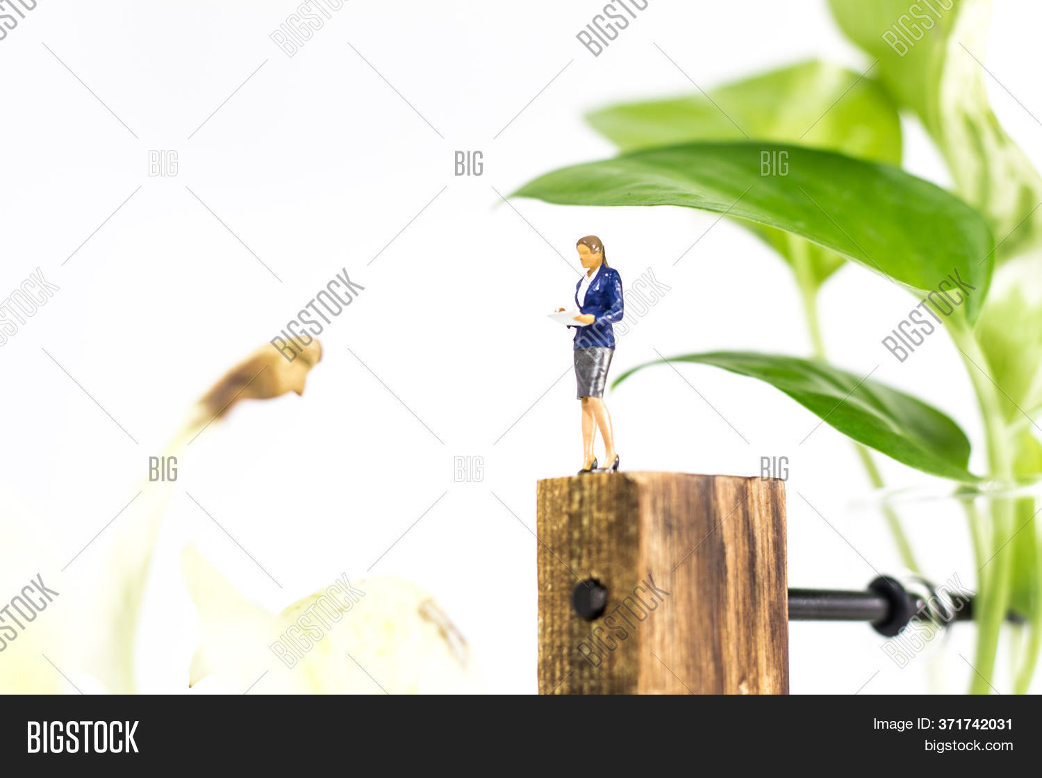 Miniature People : Image & Photo (Free Trial) | Bigstock