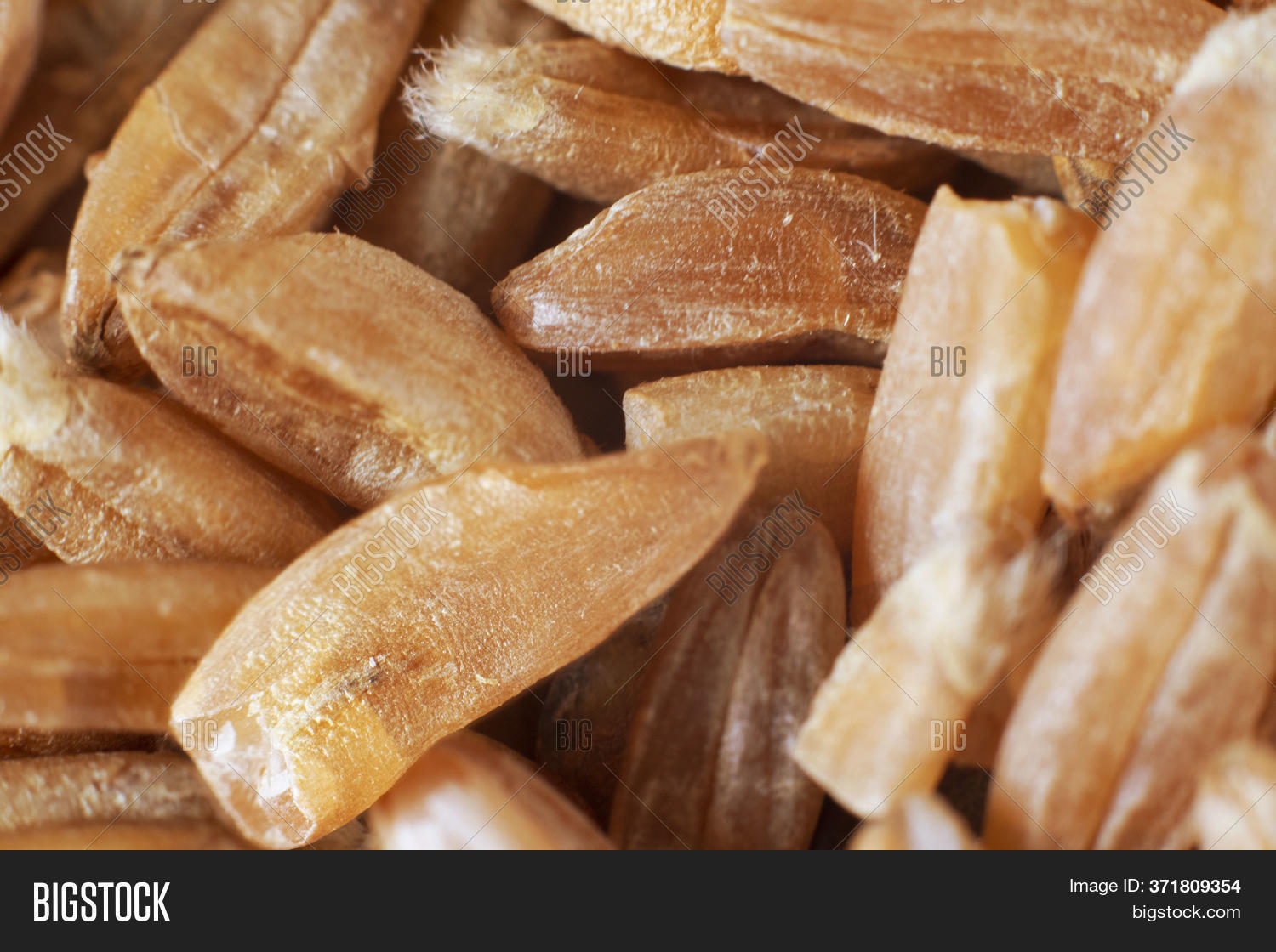Uncooked Raw Brown Image & Photo (Free Trial) | Bigstock