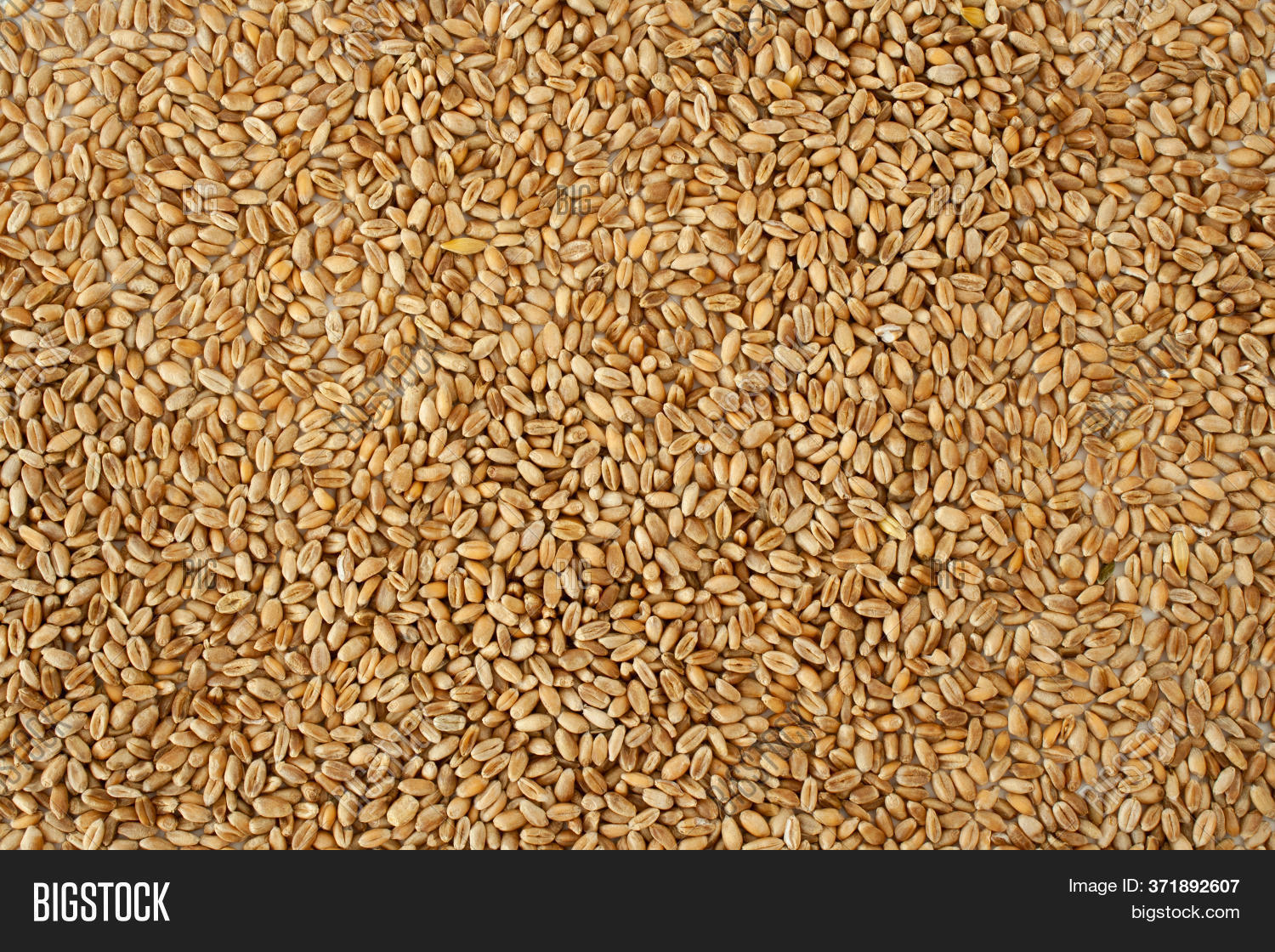 Horizontal Background Image & Photo (Free Trial) | Bigstock