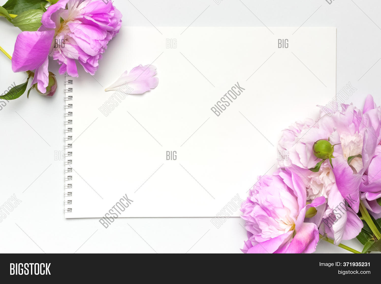 Blank Clean White Image & Photo (Free Trial) | Bigstock