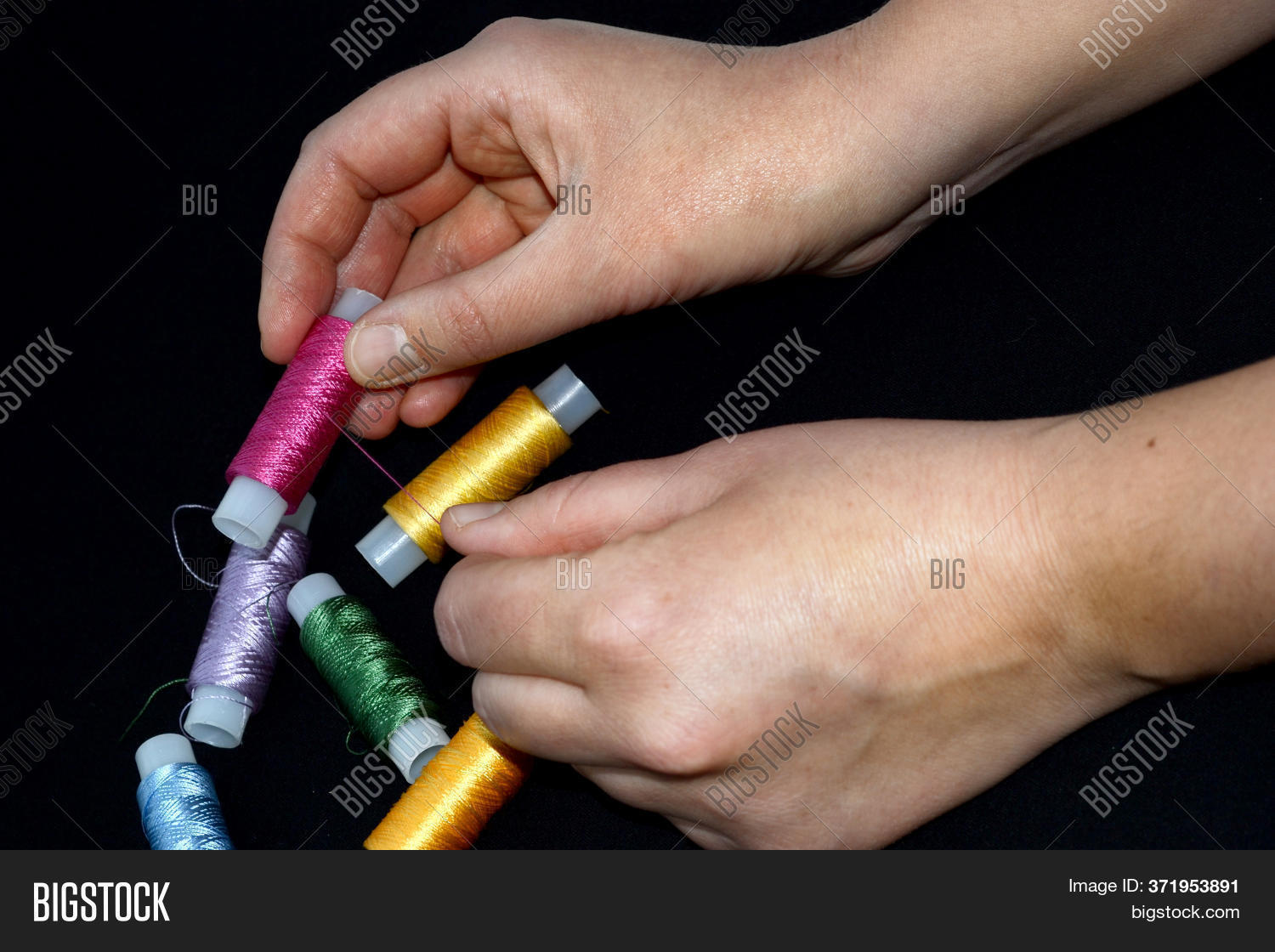 Female Hands Hold Image & Photo (Free Trial) | Bigstock