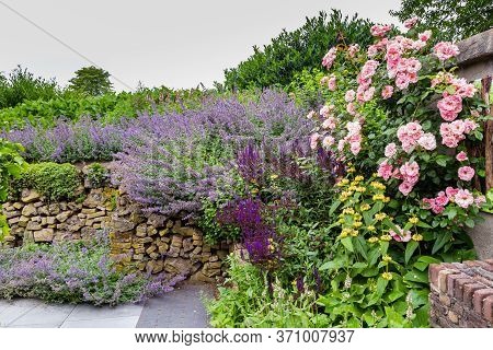 Purple Pathway Images, Illustrations & Vectors (Free) - Bigstock