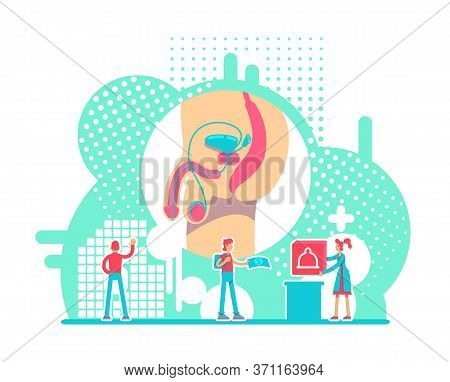 Male Reproductive Vector & Photo (Free Trial) | Bigstock