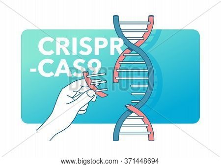 Crispr Cas9 - Gene Vector & Photo (Free Trial) | Bigstock