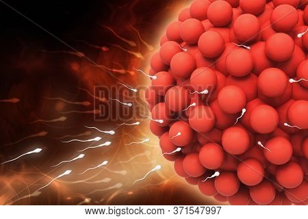 3d Rendered Blastocyst Image & Photo (Free Trial) | Bigstock