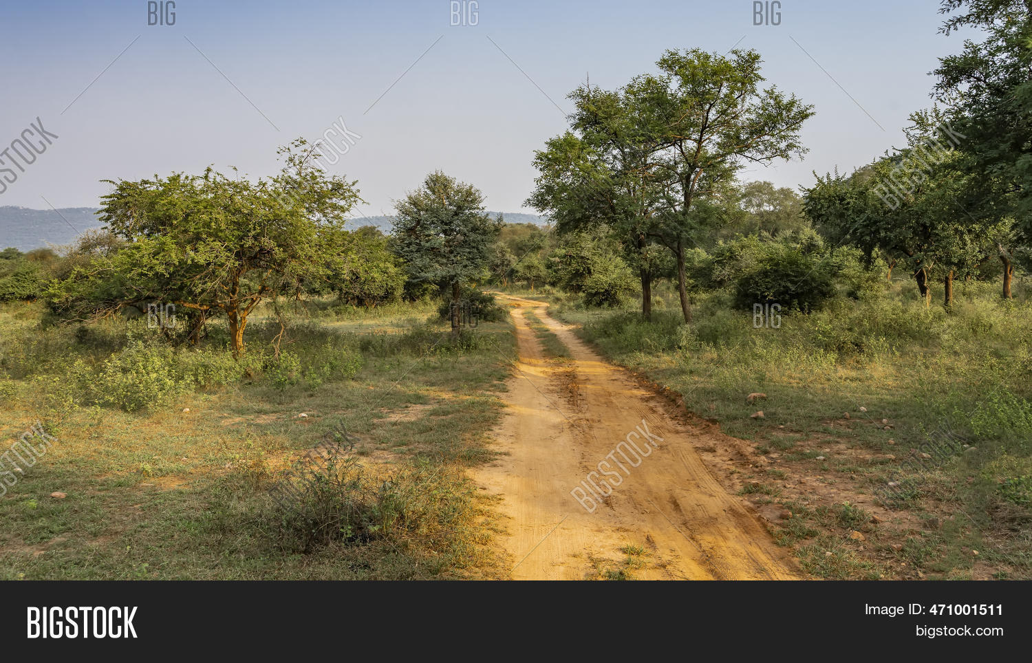Narrow Dirt Road Image & Photo (Free Trial) | Bigstock