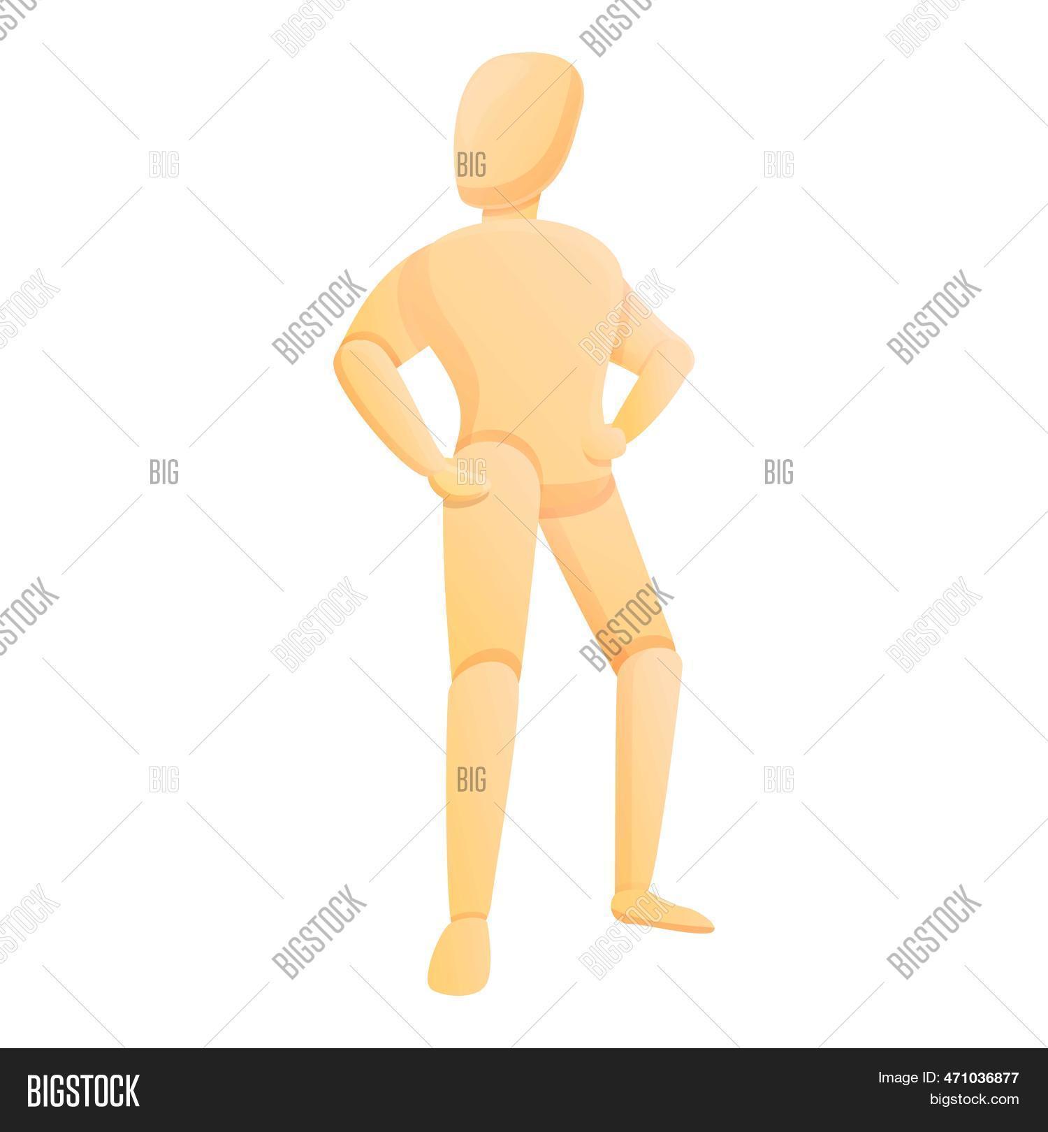 Human Body Mannequin Image & Photo (Free Trial) | Bigstock