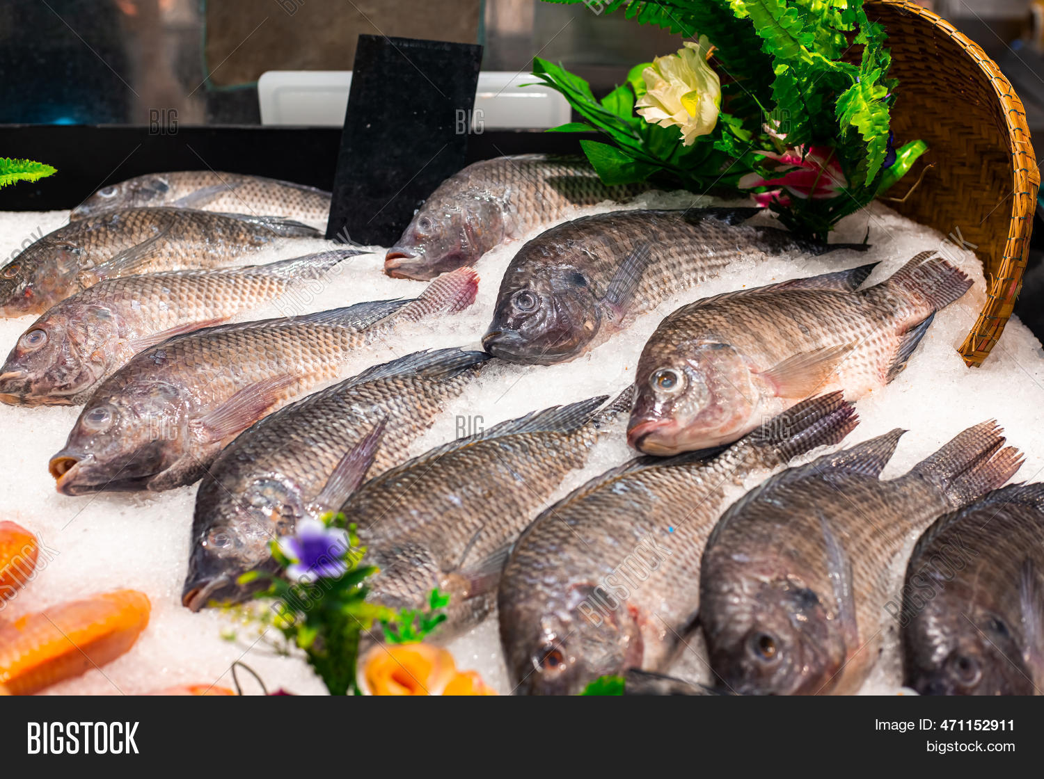 Fresh Raw Tilapia Fish Image & Photo (Free Trial) | Bigstock