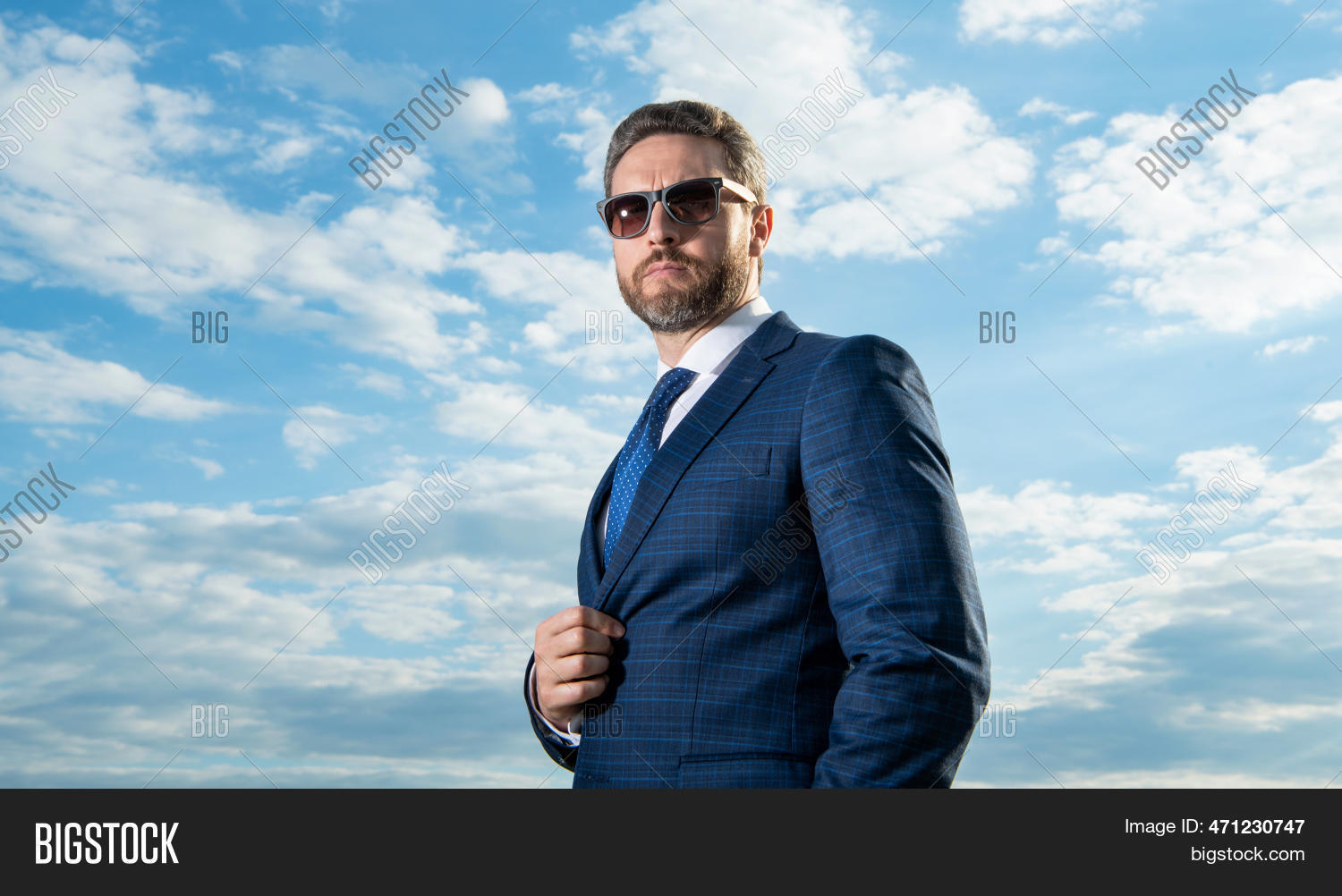 Male Ceo Business Suit Image & Photo (Free Trial) | Bigstock