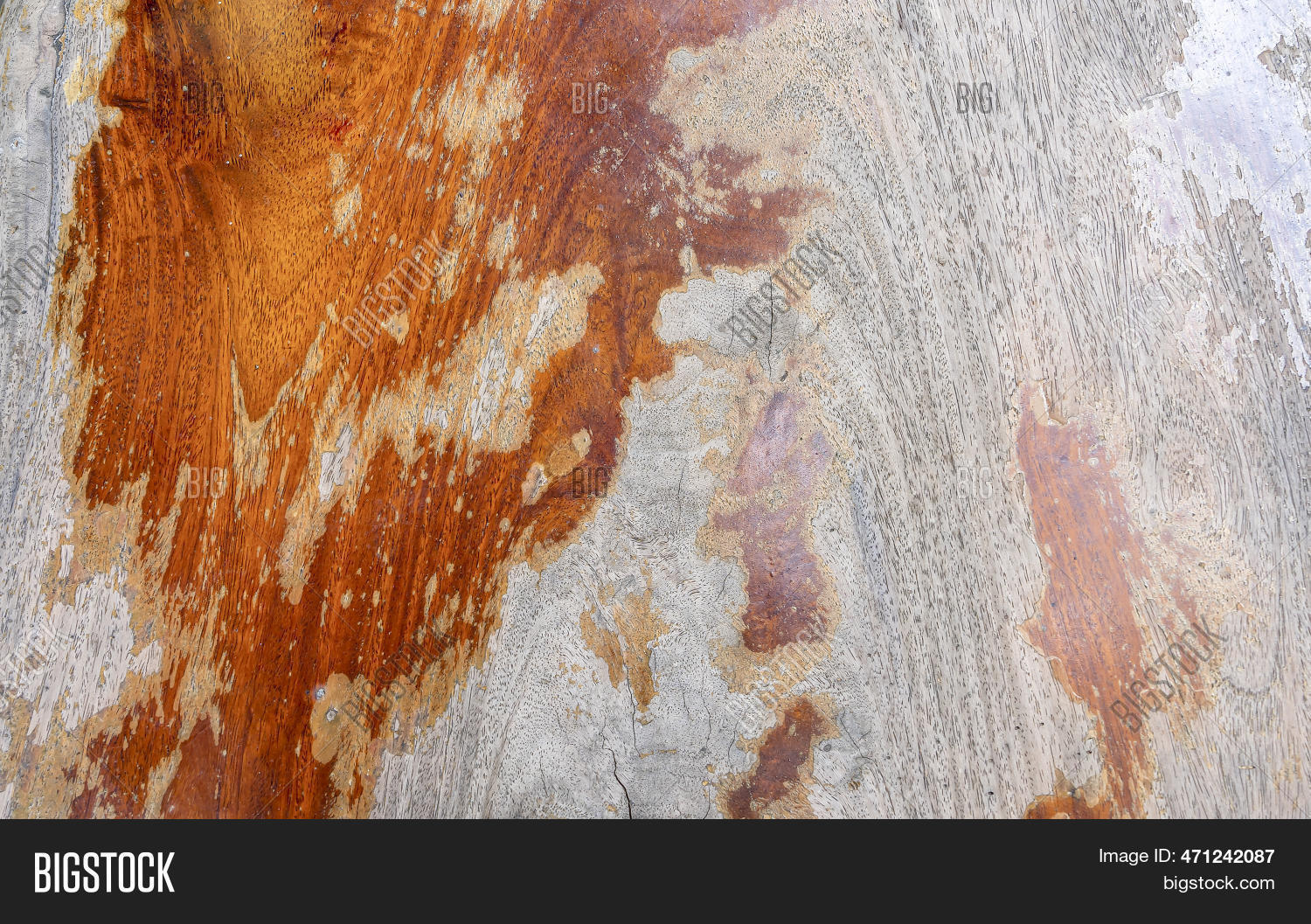 Old Wood Skin Wood Image & Photo (Free Trial) | Bigstock