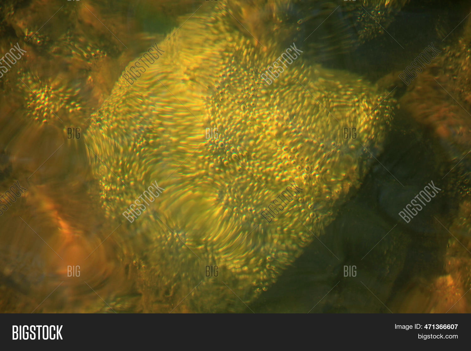 Stone Bottom River. Image & Photo (Free Trial) | Bigstock