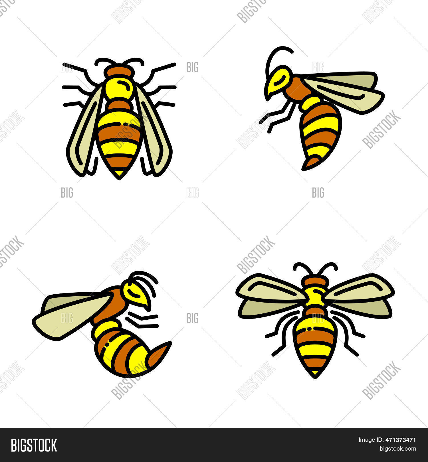 Wasp Icons Set. Image & Photo (Free Trial) | Bigstock