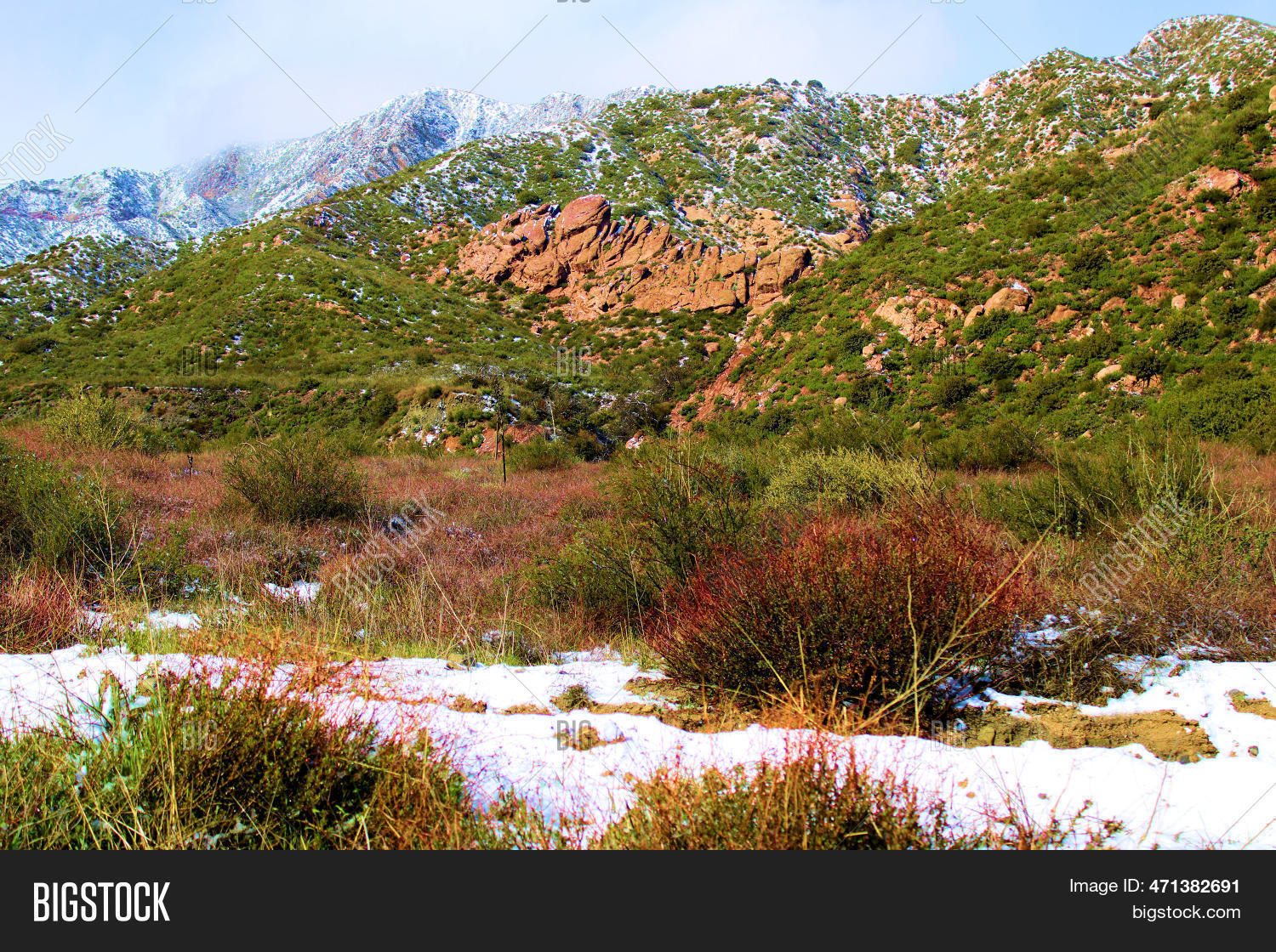 Sage Plants Chaparral Image & Photo (Free Trial) | Bigstock