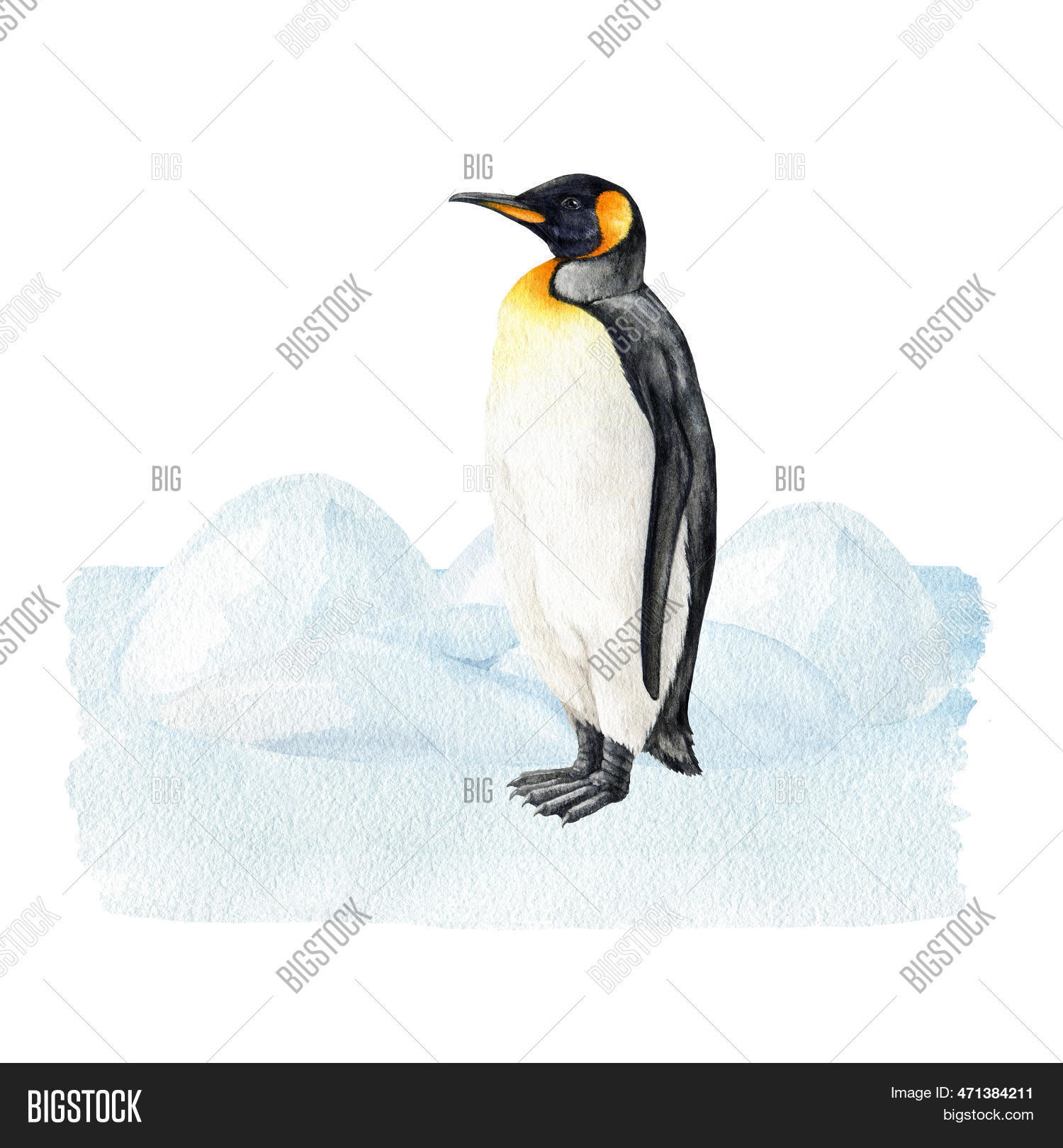 Emperor Penguin Snow Image & Photo (Free Trial) | Bigstock