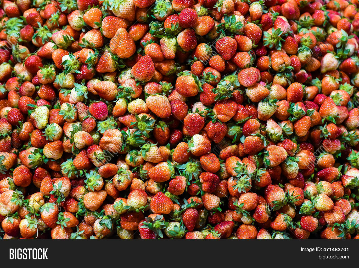 Many Fresh Natural Image & Photo (Free Trial) | Bigstock