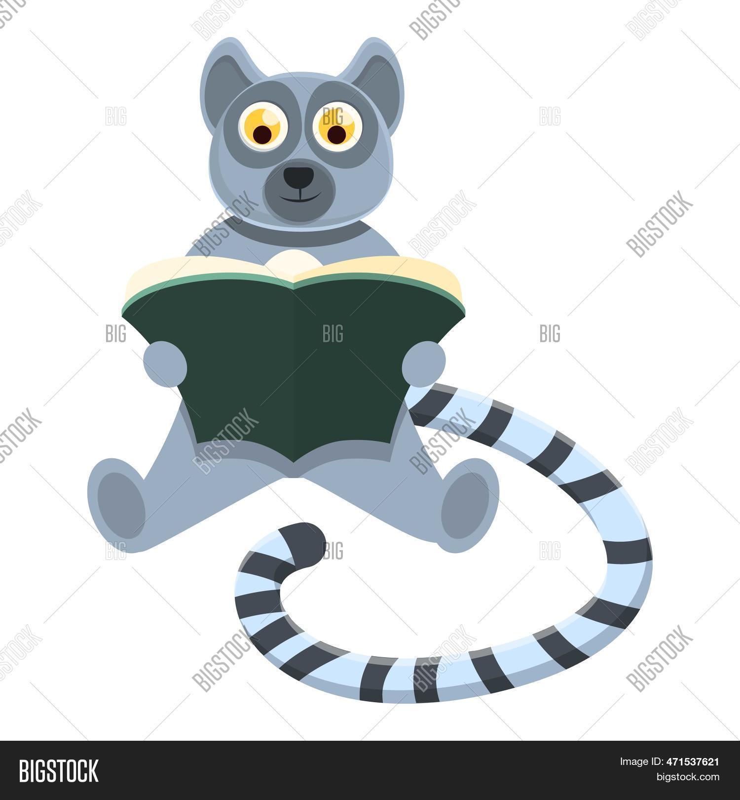 Lemur Reading Book Image & Photo (Free Trial) | Bigstock