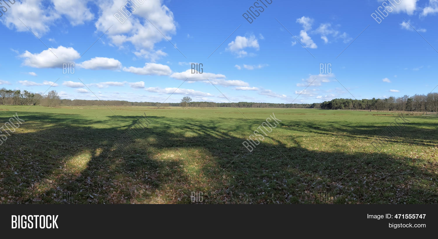 Open Grass Field Image & Photo (Free Trial) | Bigstock