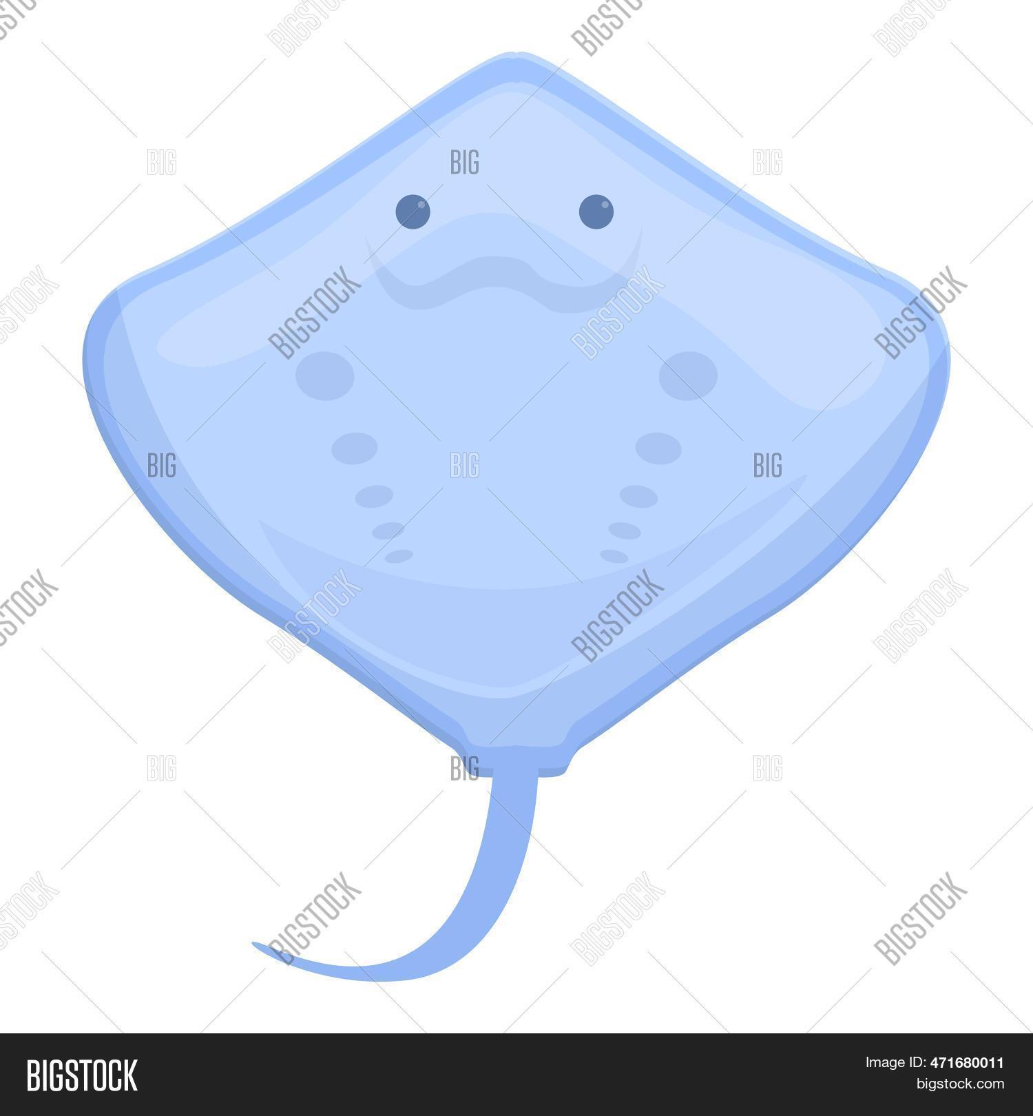 Top View Stingray Icon Image & Photo (Free Trial) | Bigstock