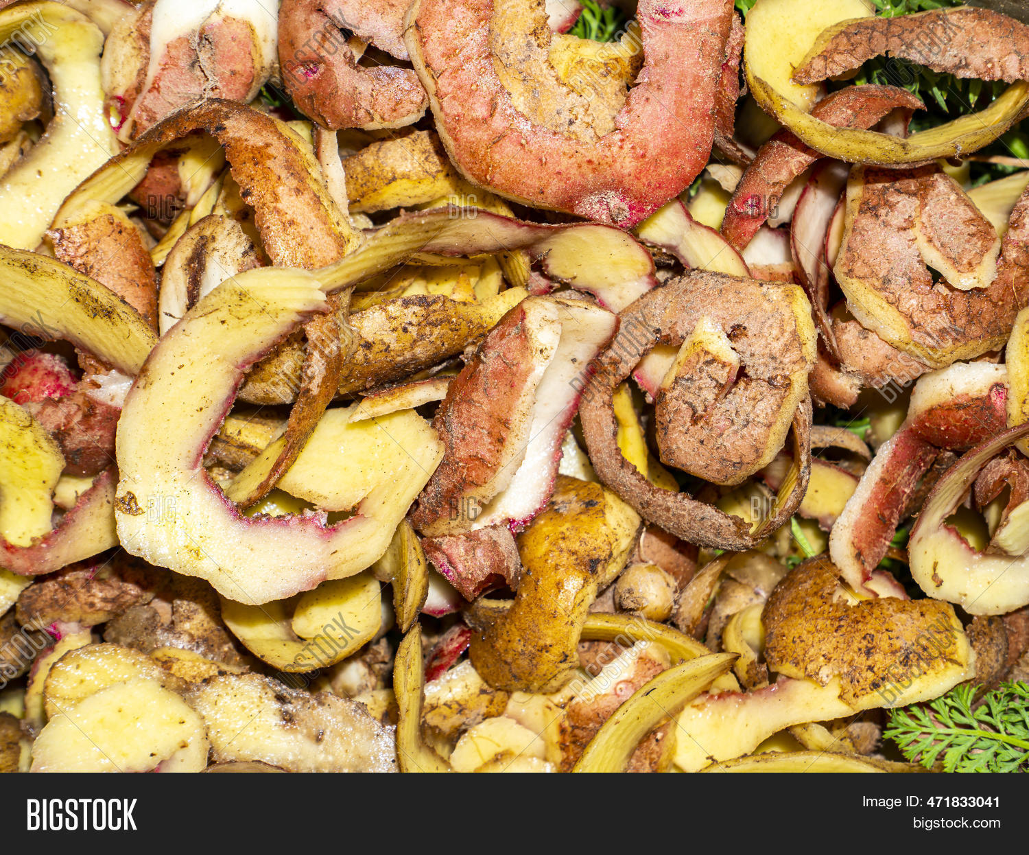 Peel Peeled Vegetable Image & Photo (Free Trial) | Bigstock