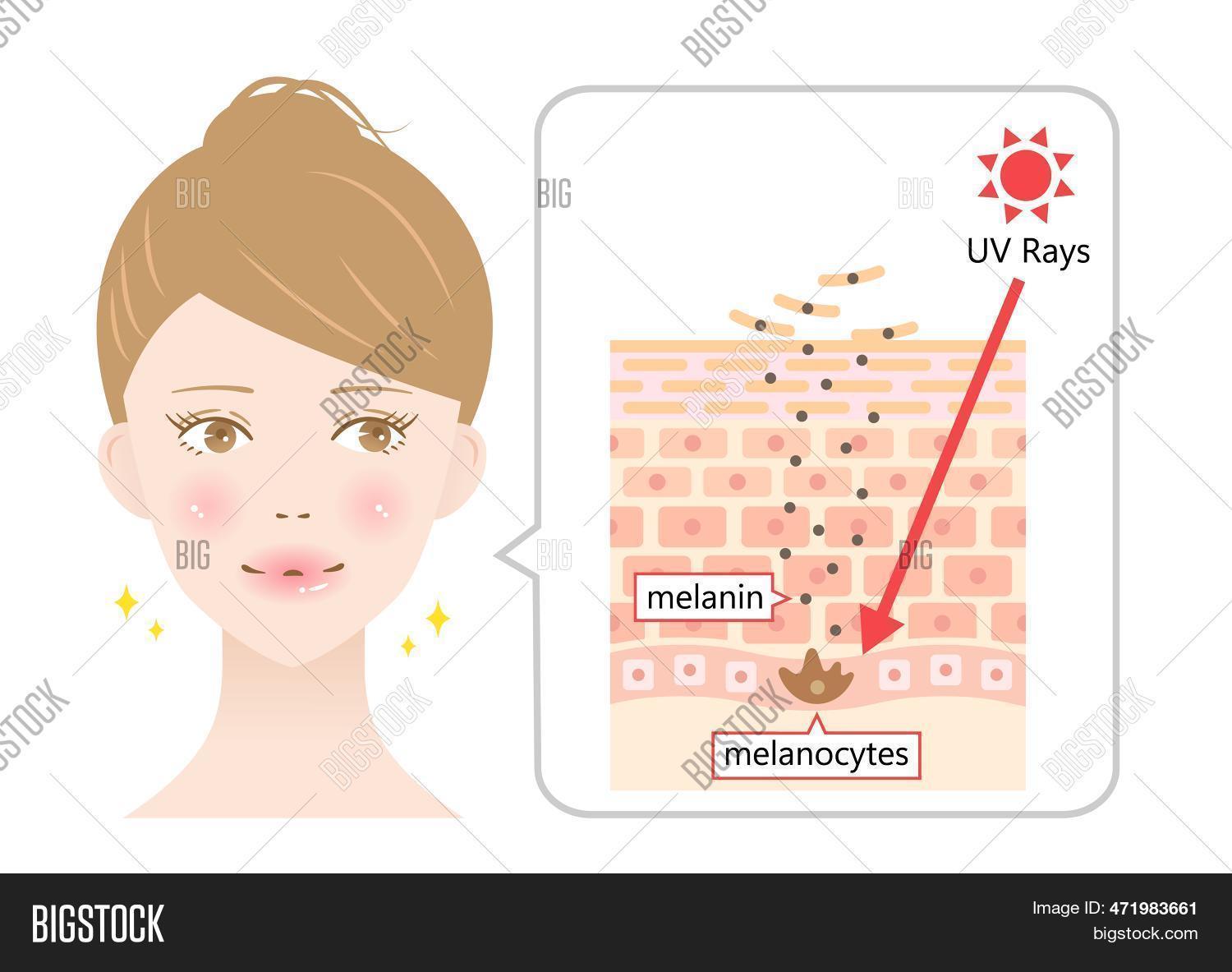 Ultraviolet Light Image & Photo (Free Trial) | Bigstock
