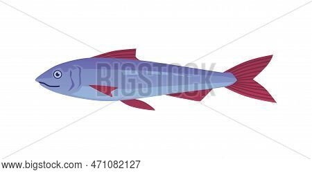 Sardine Fish, Cartoon Vector & Photo (Free Trial) | Bigstock