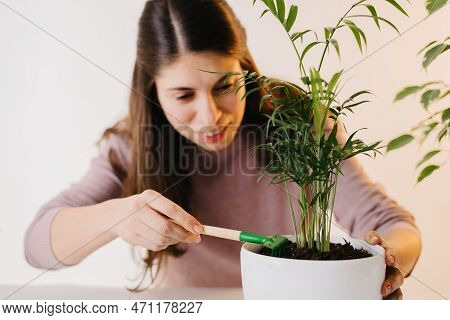 Hands Plant Plant New Image & Photo (Free Trial) | Bigstock