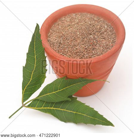 Neem Images, Illustrations & Vectors (Free) - Bigstock