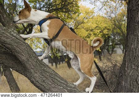 Portrait Mature Image & Photo (Free Trial) | Bigstock