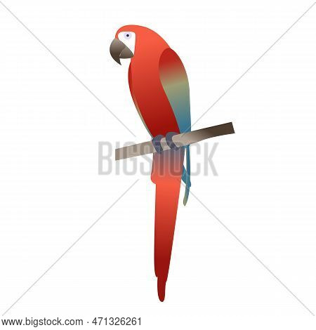 Vector Illustration Vector & Photo (Free Trial) | Bigstock
