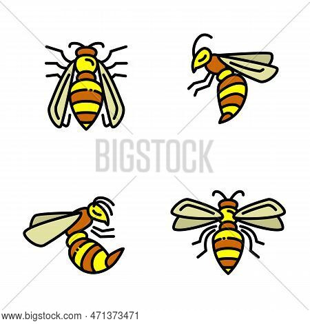 Wasp Icons Set. Image & Photo (Free Trial) | Bigstock