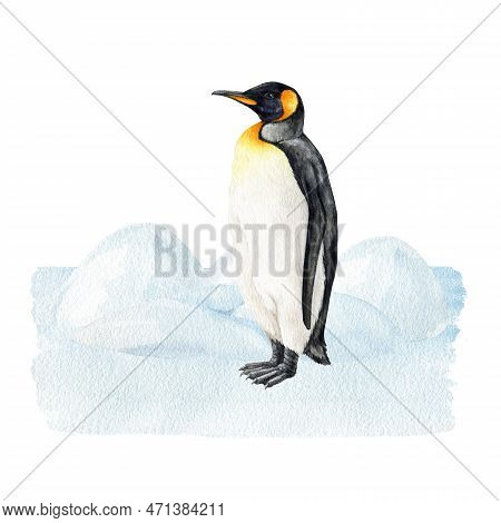 Emperor Penguin Snow Image & Photo (Free Trial) | Bigstock
