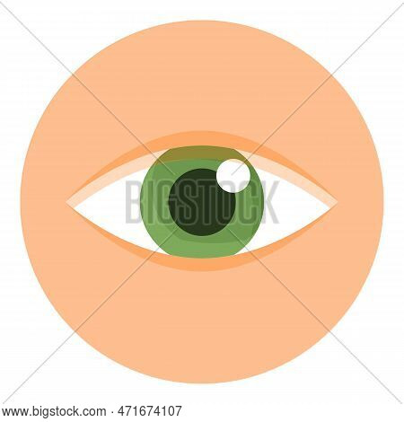 Eye Organ Icon. Image & Photo (Free Trial) | Bigstock