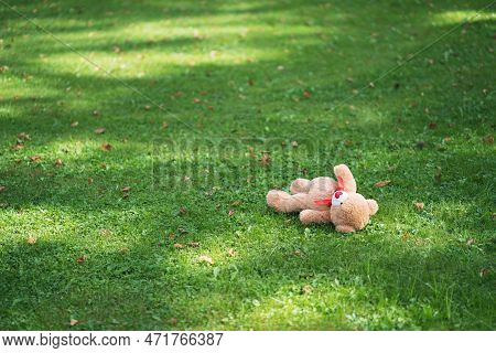 Lost Teddy Bear Lying Image & Photo (Free Trial) | Bigstock
