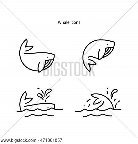 Whale Icon. Cartoon Vector & Photo (Free Trial) | Bigstock