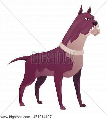 Angry Dog. Mad Animal Vector & Photo (Free Trial) | Bigstock