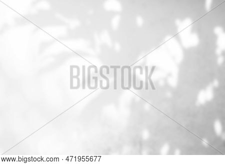 Shadow Spring On Wall Background,abstract Overlay Shady Soft Exterior ...