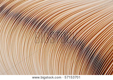 Book Pages Closeup. Image & Photo (Free Trial) | Bigstock