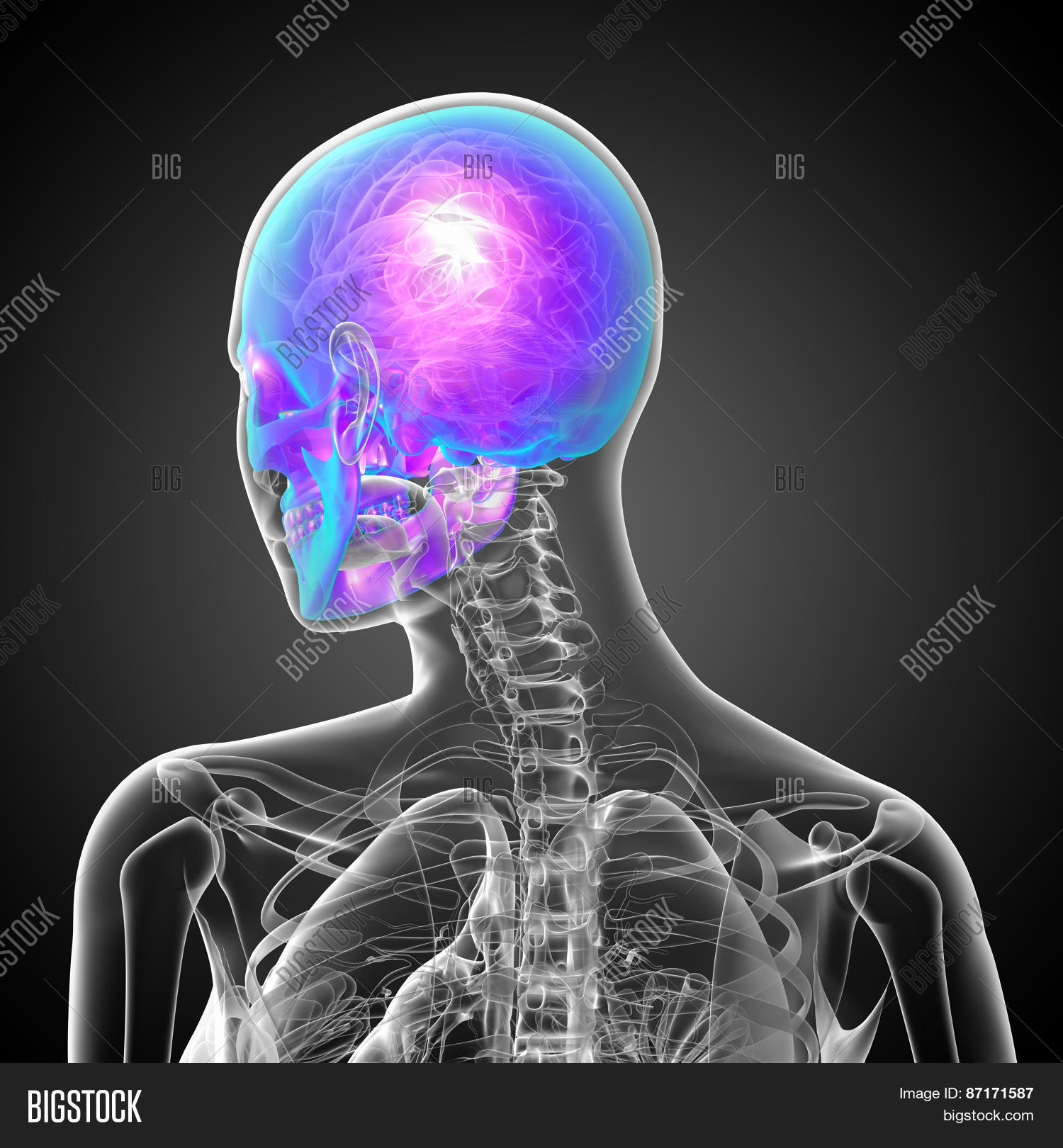 3D Render Medical Image & Photo (Free Trial) | Bigstock