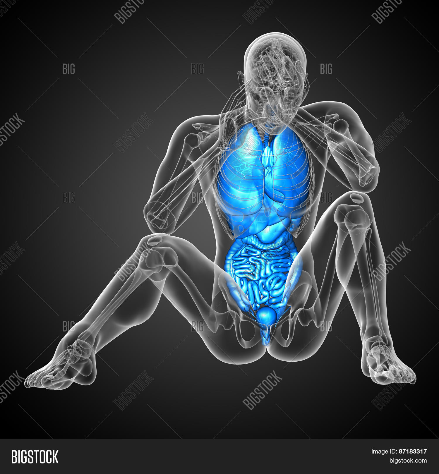3D Render Medical Image & Photo (Free Trial) | Bigstock
