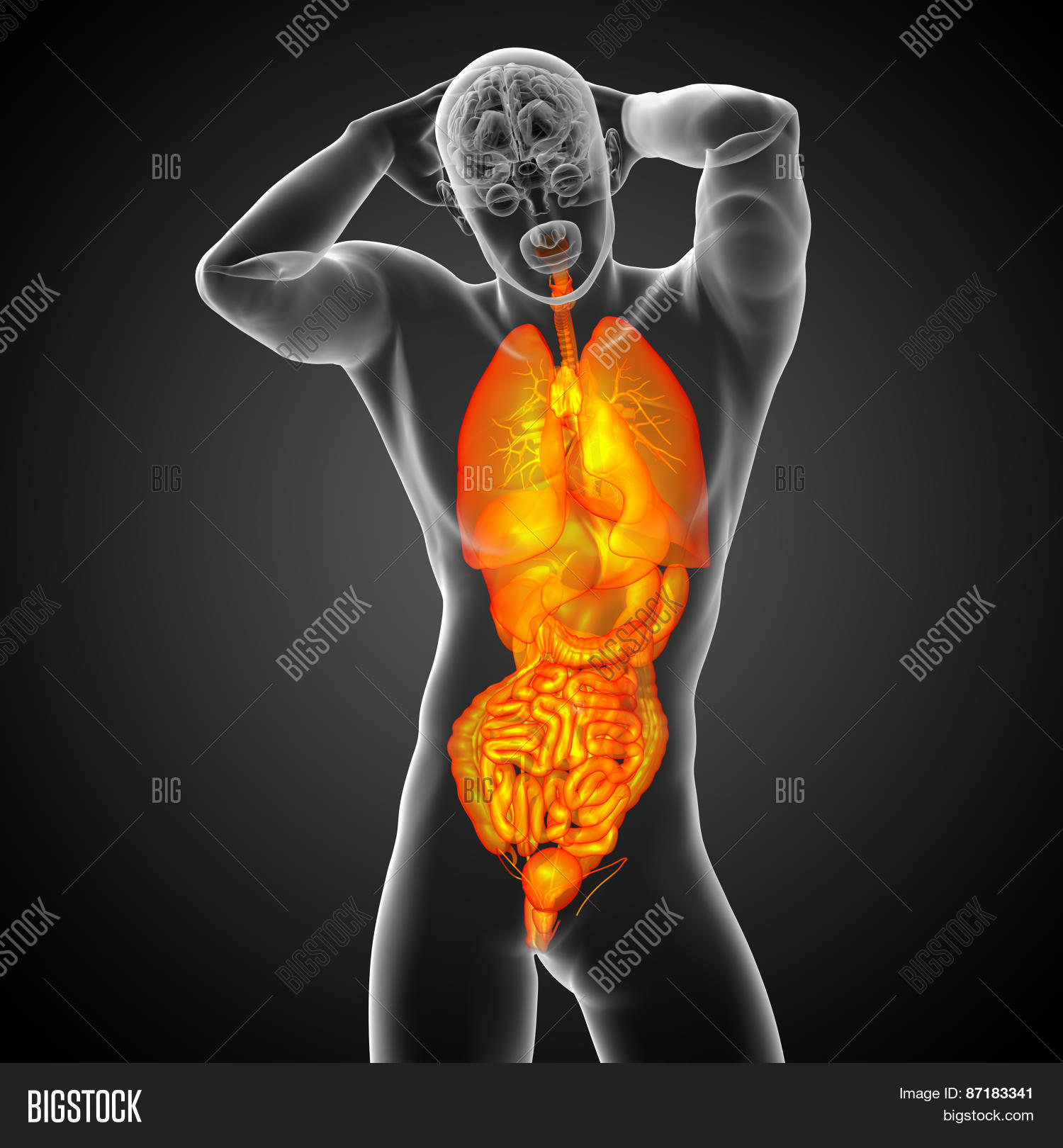 3D Render Medical Image & Photo (Free Trial) | Bigstock
