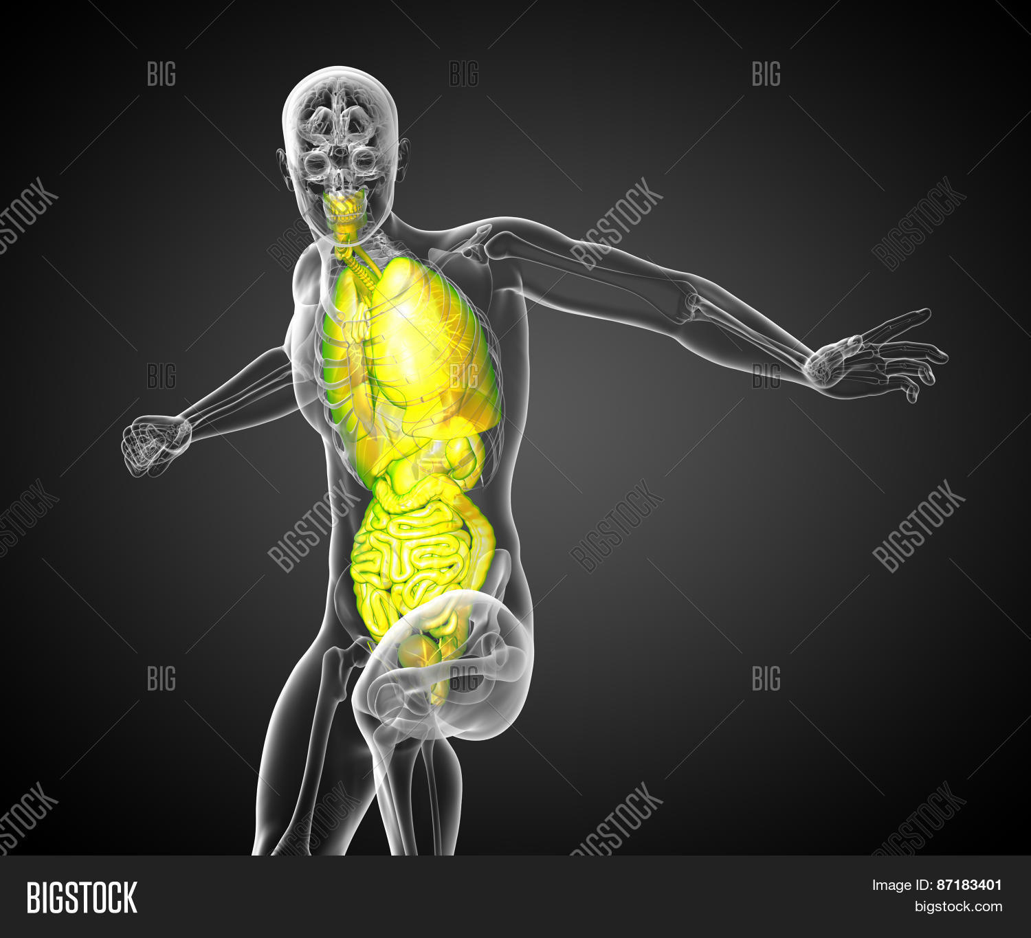 3D Render Medical Image & Photo (Free Trial) | Bigstock