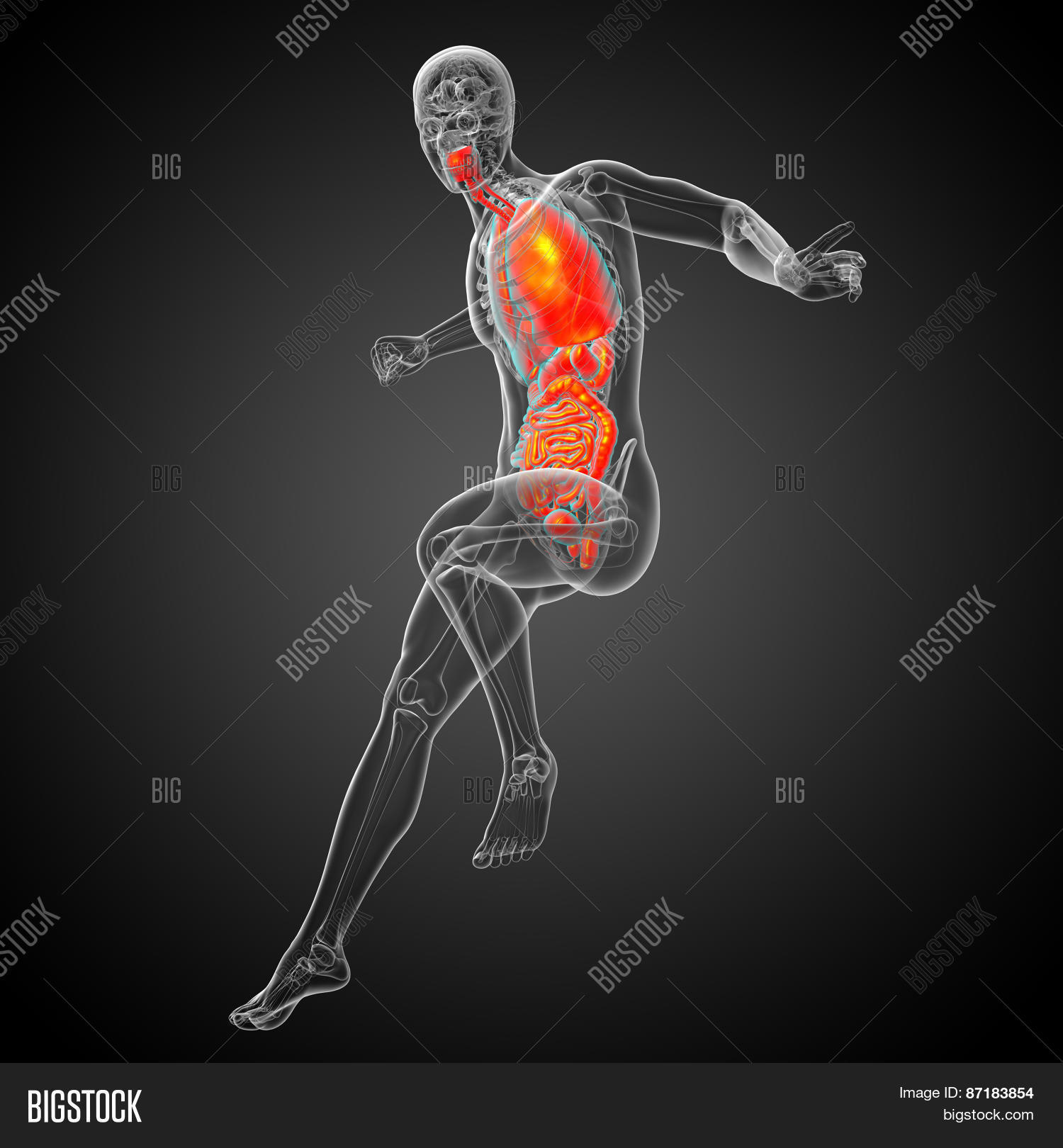 3D Render Medical Image & Photo (Free Trial) | Bigstock