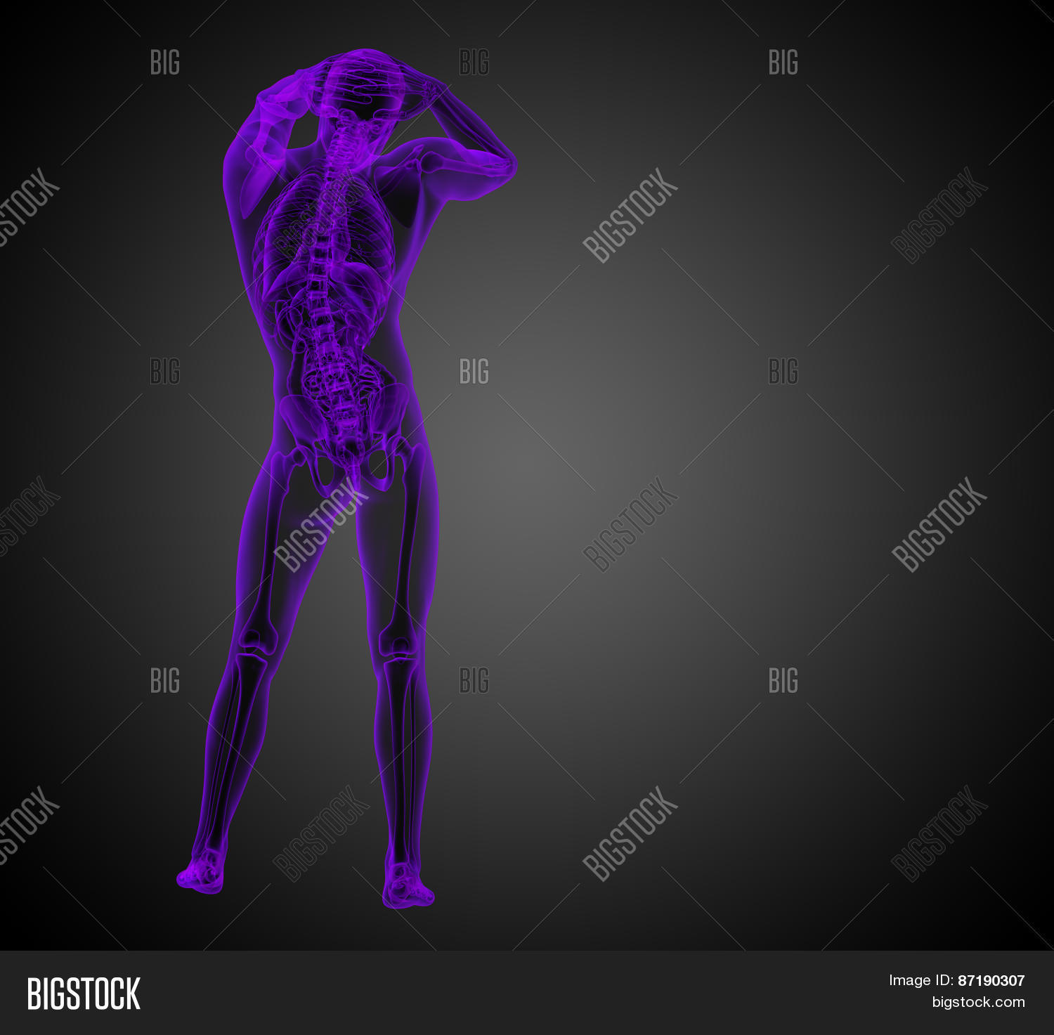3D Render Medical Image & Photo (Free Trial) | Bigstock