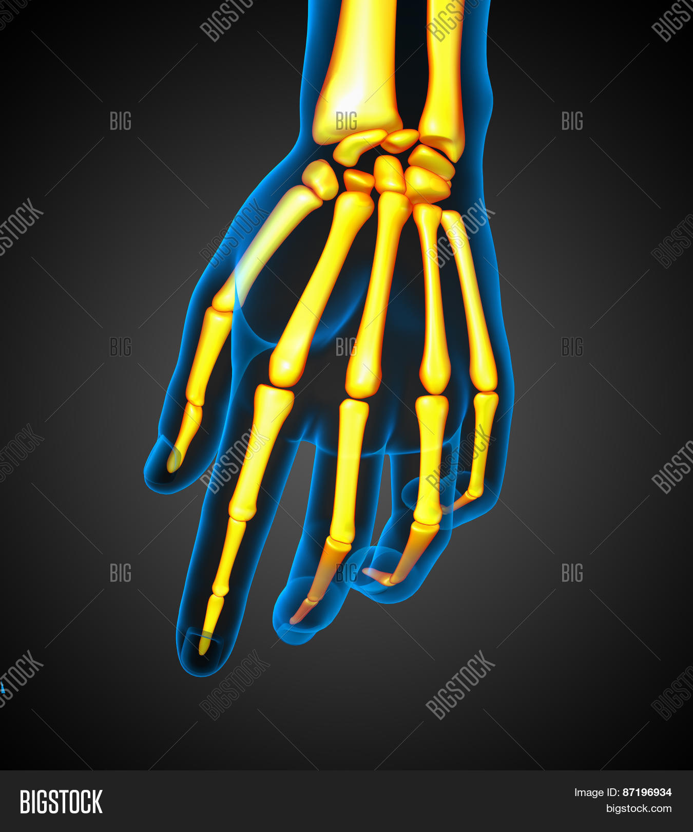 3D Medical Image & Photo (Free Trial) | Bigstock