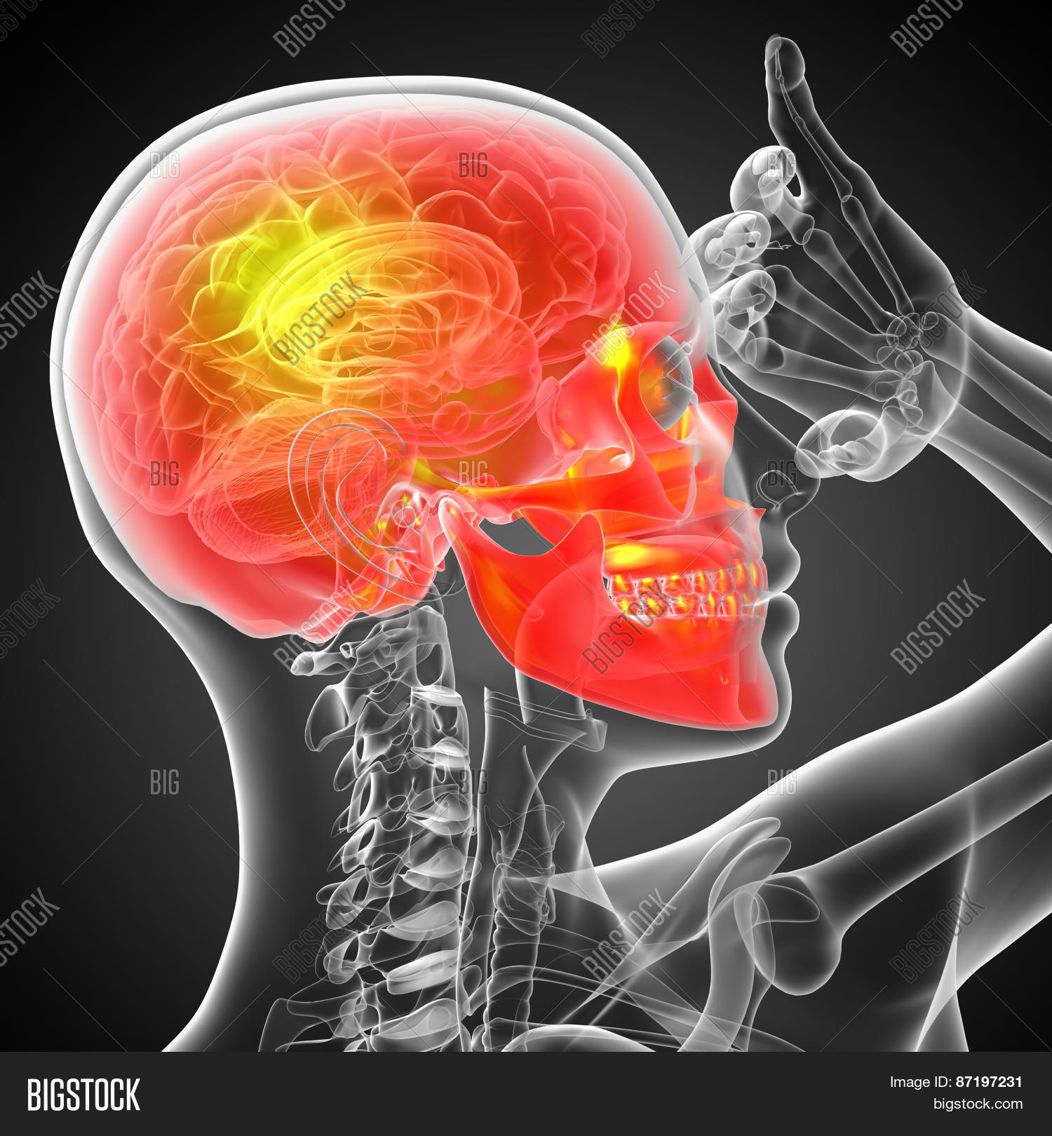 3D Render Medical Image & Photo (Free Trial) | Bigstock