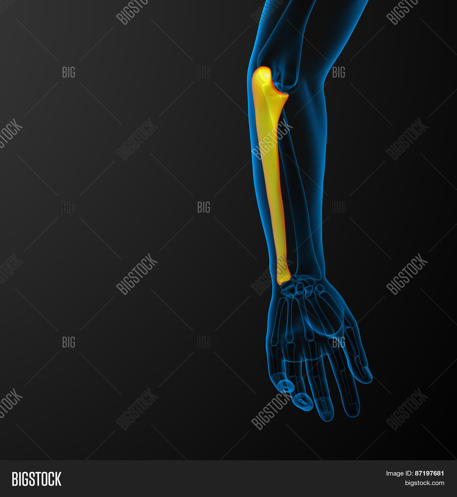 3D Render Medical Image & Photo (Free Trial) | Bigstock