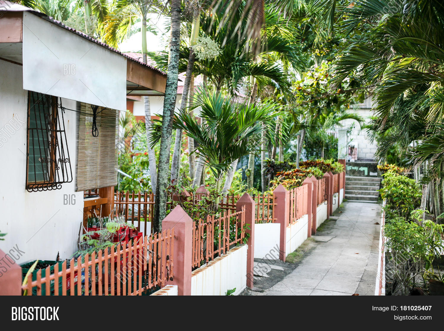 Everyday Life Image & Photo (Free Trial) | Bigstock