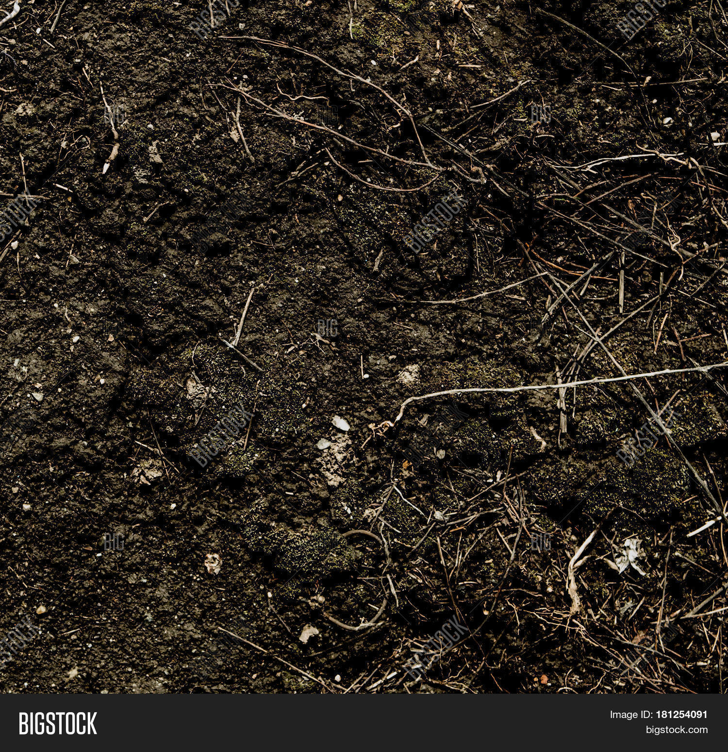 Soil, Soil Background Image & Photo (Free Trial) | Bigstock