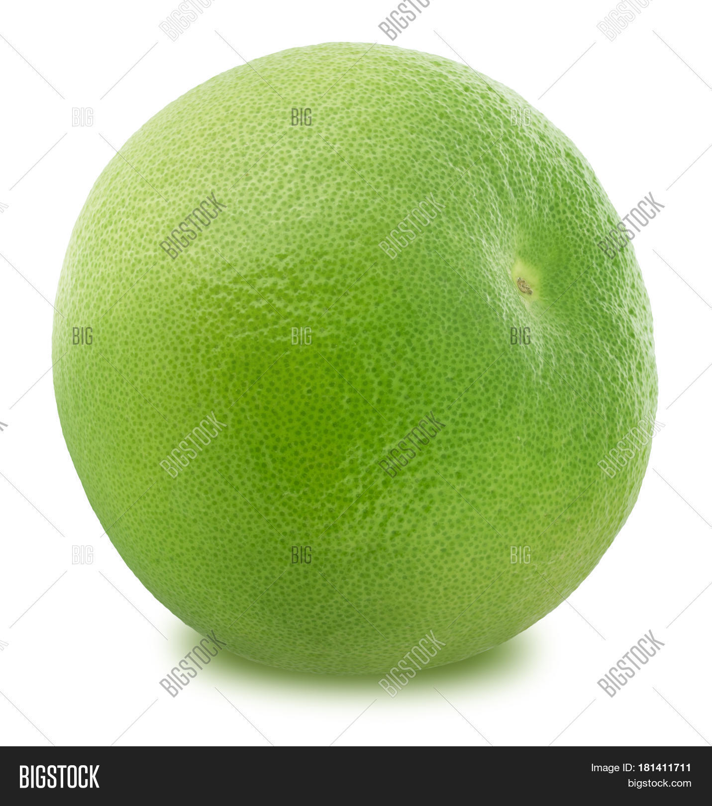 Oroblanco Isolated On Image & Photo (Free Trial) | Bigstock